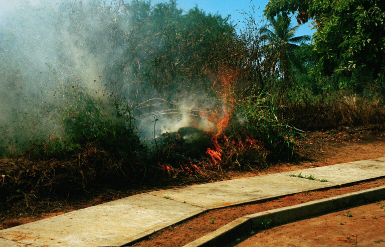 How it begins, Chloé Wasp – Interview - Open Process